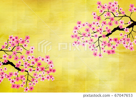 Sakura spring flower background - Stock Illustration [67047653] - PIXTA