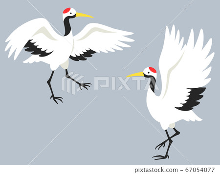 Two cranes spread their wings and dance - Stock Illustration [67054077 ...