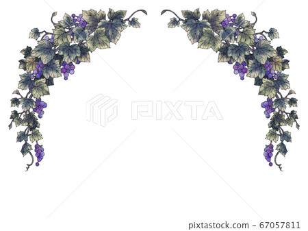 Frame of grape illustration 01-3 (black line) - Stock Illustration ...