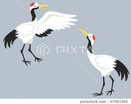 Illustration of two cranes (introduce/looking... - Stock Illustration ...