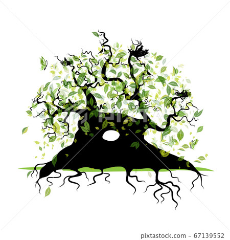 Big old tree with roots for your design - Stock Illustration [67139552 ...