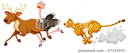 Leopard hunting ostriche and deer in cartoon - Stock Illustration ...