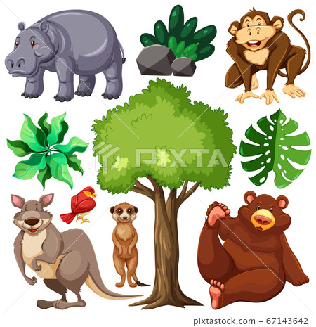 Set of cute wild animal and nature - Stock Illustration [67143642] - PIXTA