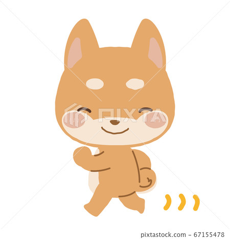 Shiba Inu walking - Stock Illustration [67155478] - PIXTA
