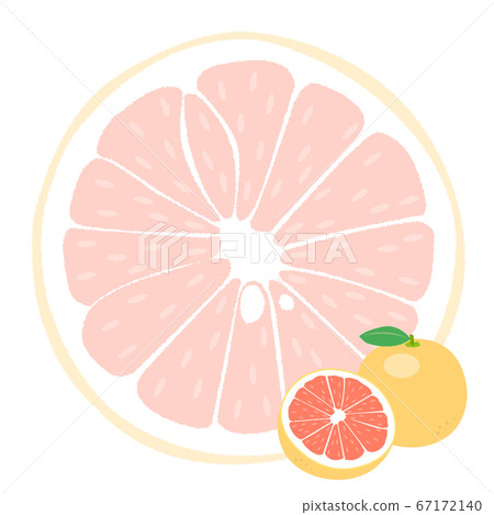 grapefruit, grapefruits, pink grapefruit - Stock Illustration [67172140 ...