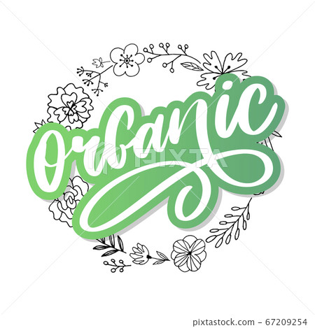 Organic brush lettering. Hand drawn word... - Stock Illustration ...