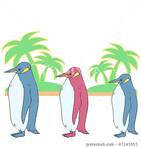 Illustration of three penguins and palm trees - Stock Illustration ...