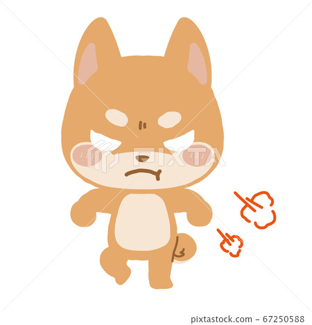 Angry shiba inu - Stock Illustration [67250588] - PIXTA
