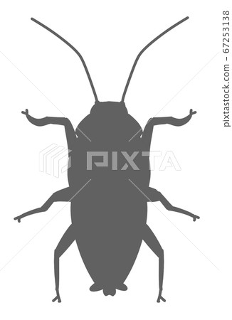 Gray cockroach silhouette - Stock Illustration [67253138] - PIXTA