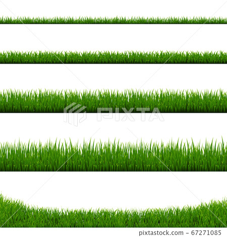 Green Grass Frame Set And Isolated White... - Stock Illustration ...