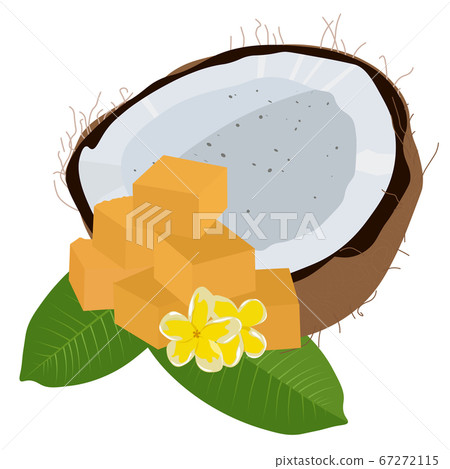 Vector stock illustration of palm sugar....-插圖素材 [67272115] - PIXTA圖庫