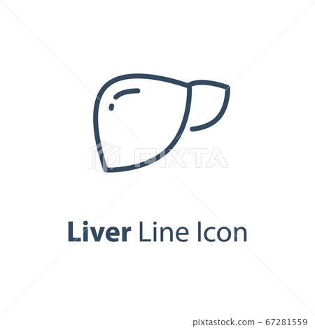 19_organ_Liver.eps - Stock Illustration [67281559] - PIXTA
