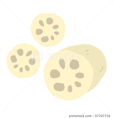 Lotus root color illustration [white background] - Stock Illustration ...