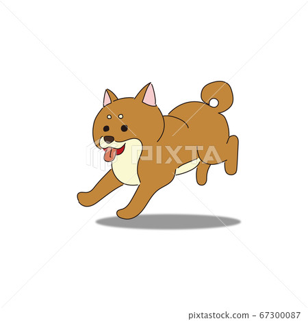 Running Shiba Inu - Stock Illustration [67300087] - PIXTA