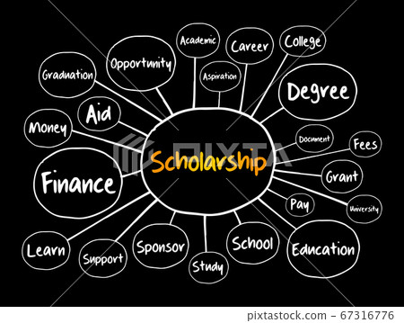 Scholarship mind map flowchart, education concept - Stock Illustration ...