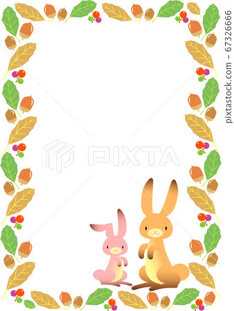 Frame rabbit and acorn - Stock Illustration [67326666] - PIXTA