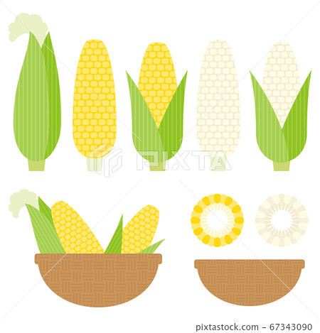 Geometric corn illustration set - Stock Illustration [67343090] - PIXTA