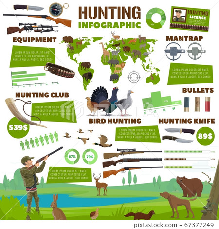 Hunting infographics, hunt equipment ammunition - Stock Illustration ...