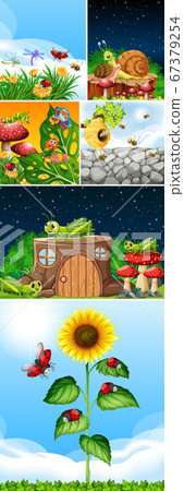 Set of different insects living in the garden - Stock Illustration ...