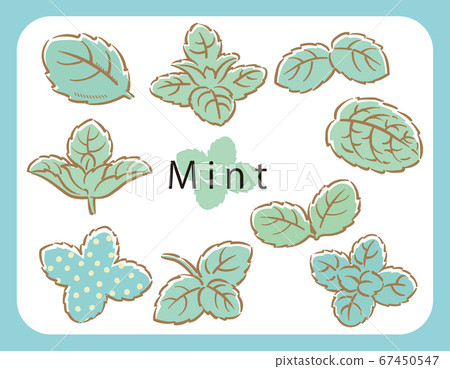 Mint icon, illustration and set. Vector image - Stock Illustration ...