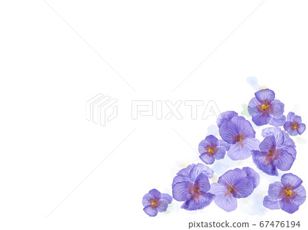Pansy frame border illustration painted by... - Stock Illustration ...