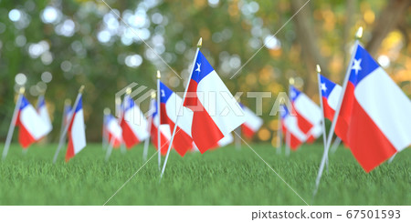 Small flags of Chile in the grass. National... - Stock Illustration ...
