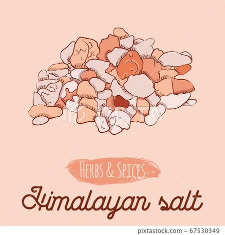 Hand Drawn Colorful Herbs and Spices Pink... - Stock Illustration ...