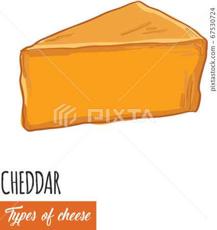 Hand drawn colorful Cheddar cheese - Stock Illustration [67530724] - PIXTA