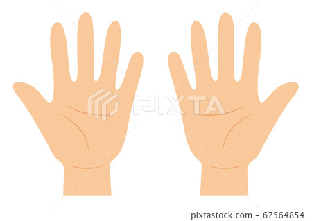 Vector illustration of palm (without main line) - Stock Illustration ...