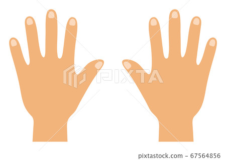 Vector illustration of the back of hand... - Stock Illustration ...