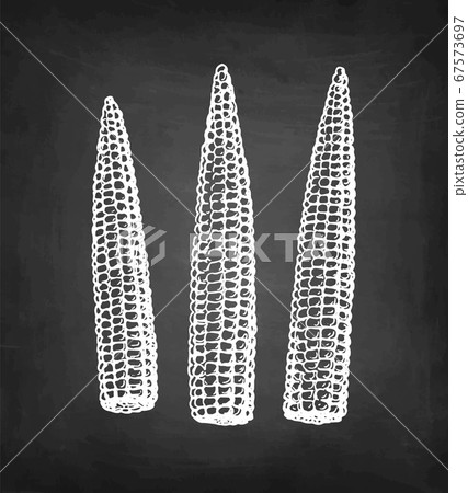 Chalk sketch set of corn. - Stock Illustration [67573697] - PIXTA