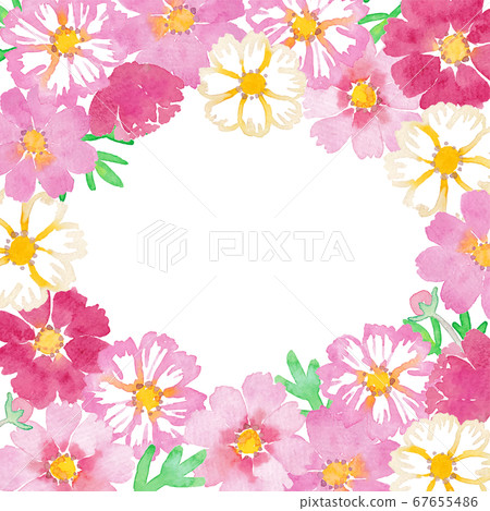 Hand-painted watercolor illustration Cosmos - Stock Illustration ...