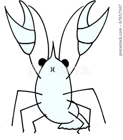 Intimidating American Crawfish (white) - Stock Illustration [67657347 ...