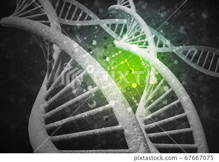 DNA molecules background, 3D rendering - Stock Illustration [67667075 ...