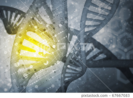 DNA molecules background, 3D rendering - Stock Illustration [67667083 ...