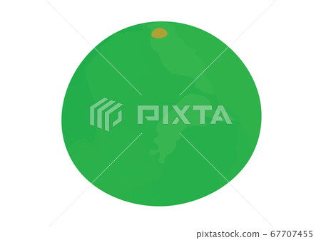 Illustration of shikwasa - Stock Illustration [67707455] - PIXTA