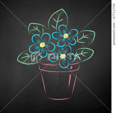 Chalk drawn illustration of flower in pot - Stock Illustration ...