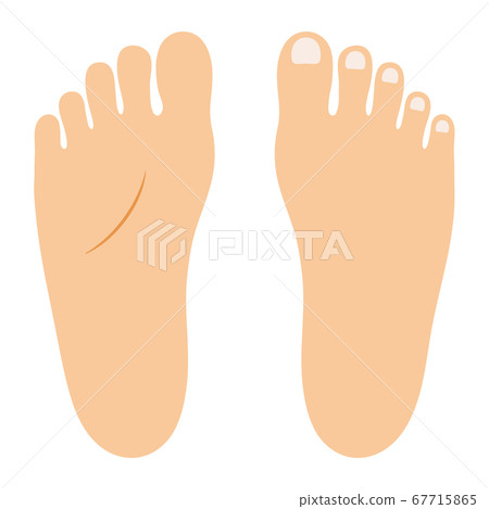 Vector illustration of instep and sole (without... - Stock Illustration ...