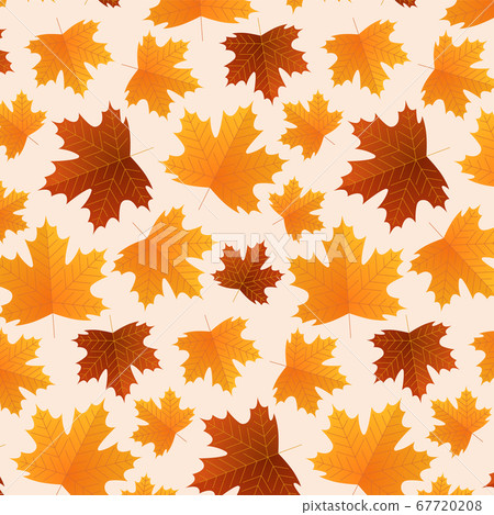 Maple pattern - Stock Illustration [67720208] - PIXTA