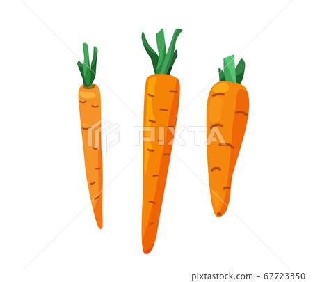 Three carrots with cut leaves in bright color... - Stock Illustration ...