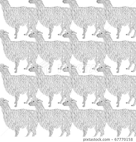 Lama, alpaca hand drawn. Object isolated on white. - Stock Illustration ...