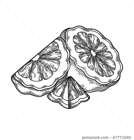 Graphic sliced bergamot fruits and leaves.... - Stock Illustration ...