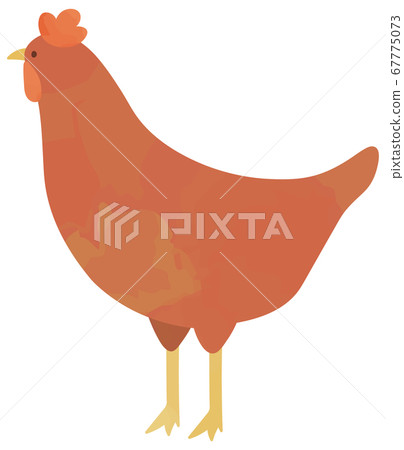 Illustration of brown chicken - Stock Illustration [67775073] - PIXTA