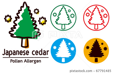 japanese cedar, arboreal, pollen - Stock Illustration [67791485] - PIXTA
