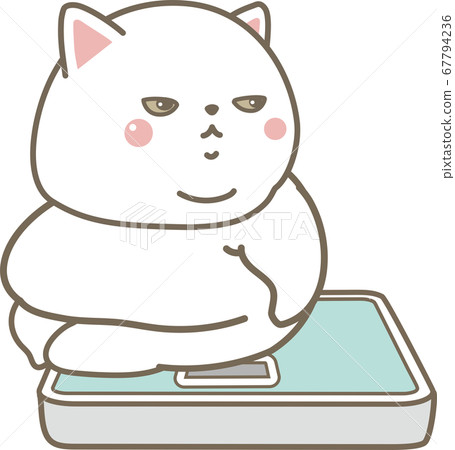 Weight measurement for fat cats - Stock Illustration [67794236] - PIXTA
