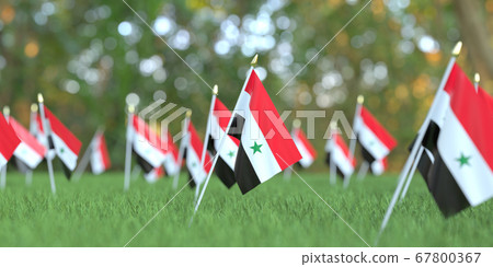 Small flags of Syria in the grass. National... - Stock Illustration ...
