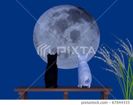 Cats watching the moon - Stock Illustration [67844335] - PIXTA
