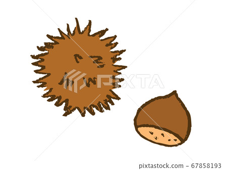 Crayon drawing chestnut illustration - Stock Illustration [67858193 ...