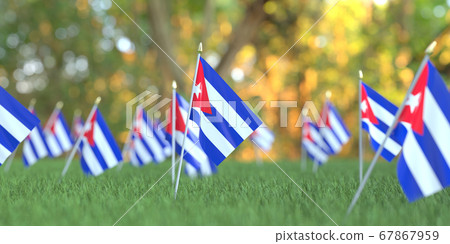 Small flags of Cuba in the grass. National... - Stock Illustration ...
