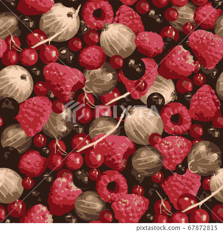 raspberry, blueberry, vector - Stock Illustration [67872815] - PIXTA